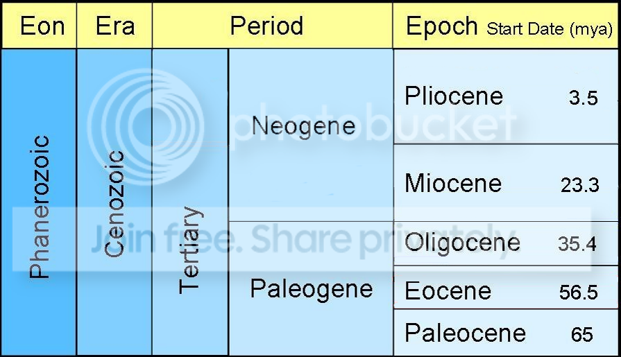 Neogene Period